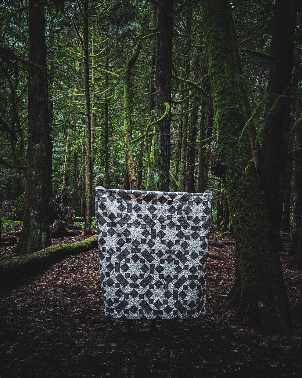 Aperiodic Quilt Pattern - PDF – Prairie & Ocean